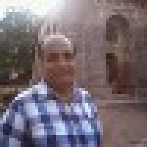 How to Tell Wild Animals Extra Answers Questions Class 10 English ...